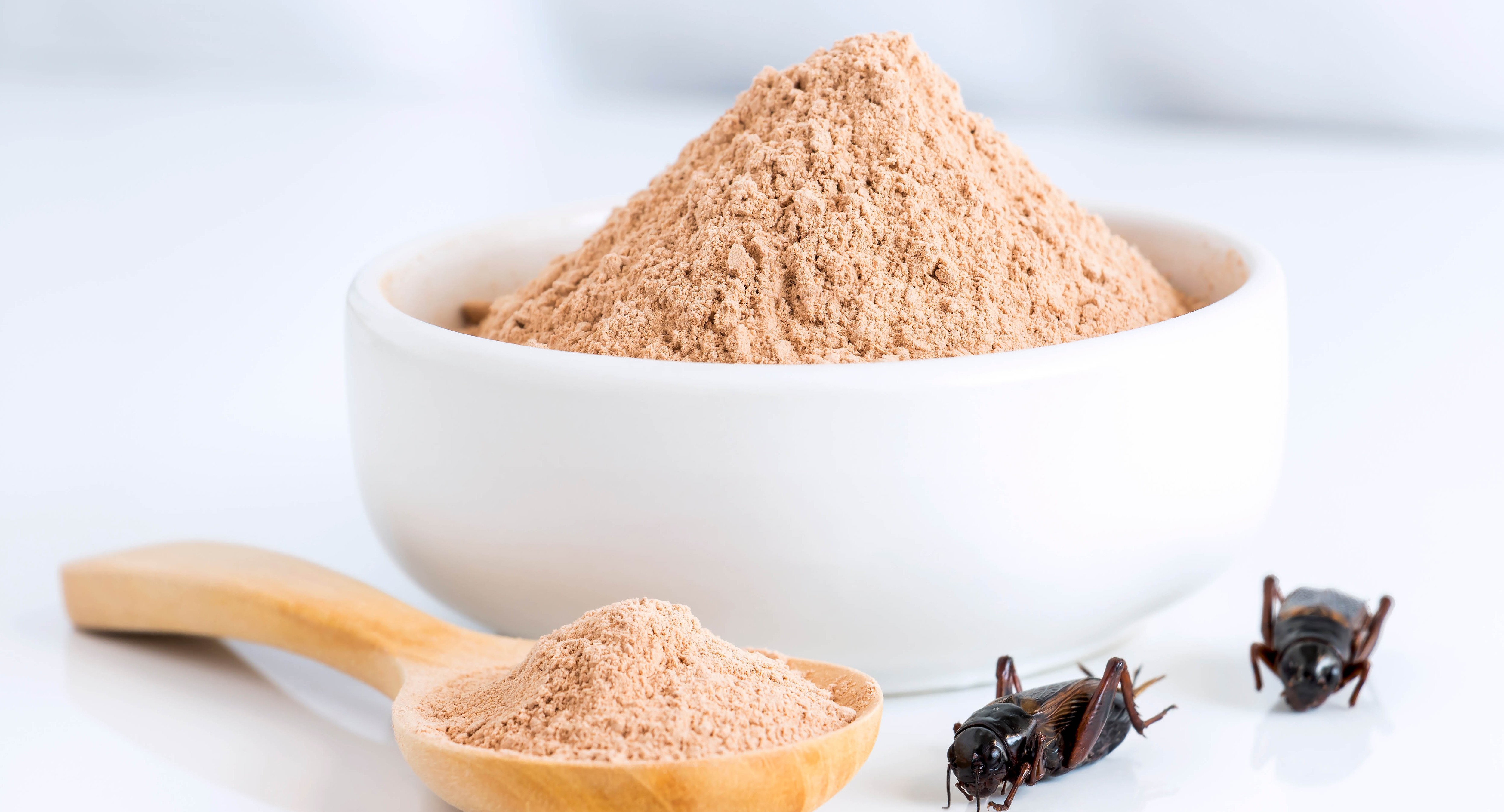 Automated Edible Insect Protein Fractionation Process