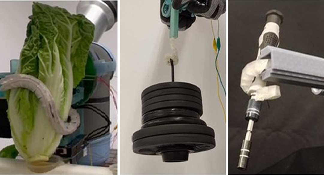 Smart Soft Robotic Gripper for Delicate, Heterogenous Objects | Technology